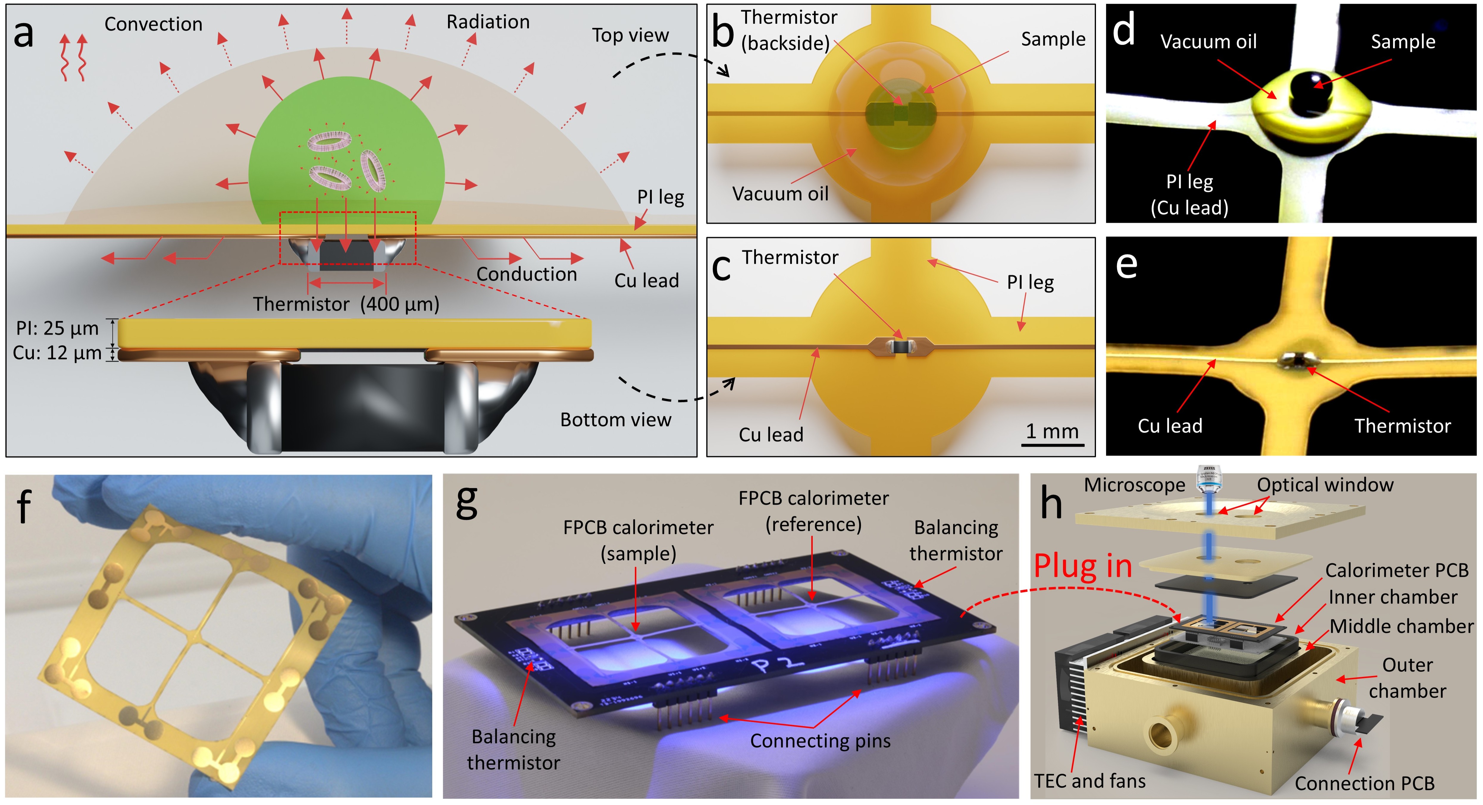 The research group led by Prof. Pavel Neuzil from Northwestern ...