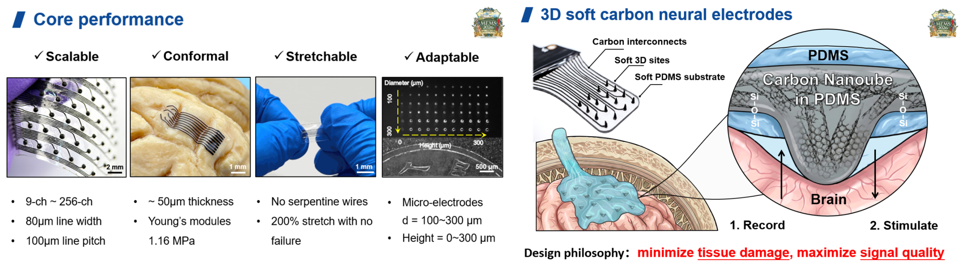 Northwestern Polytechnical University Achieves Breakthrough in Brain ...